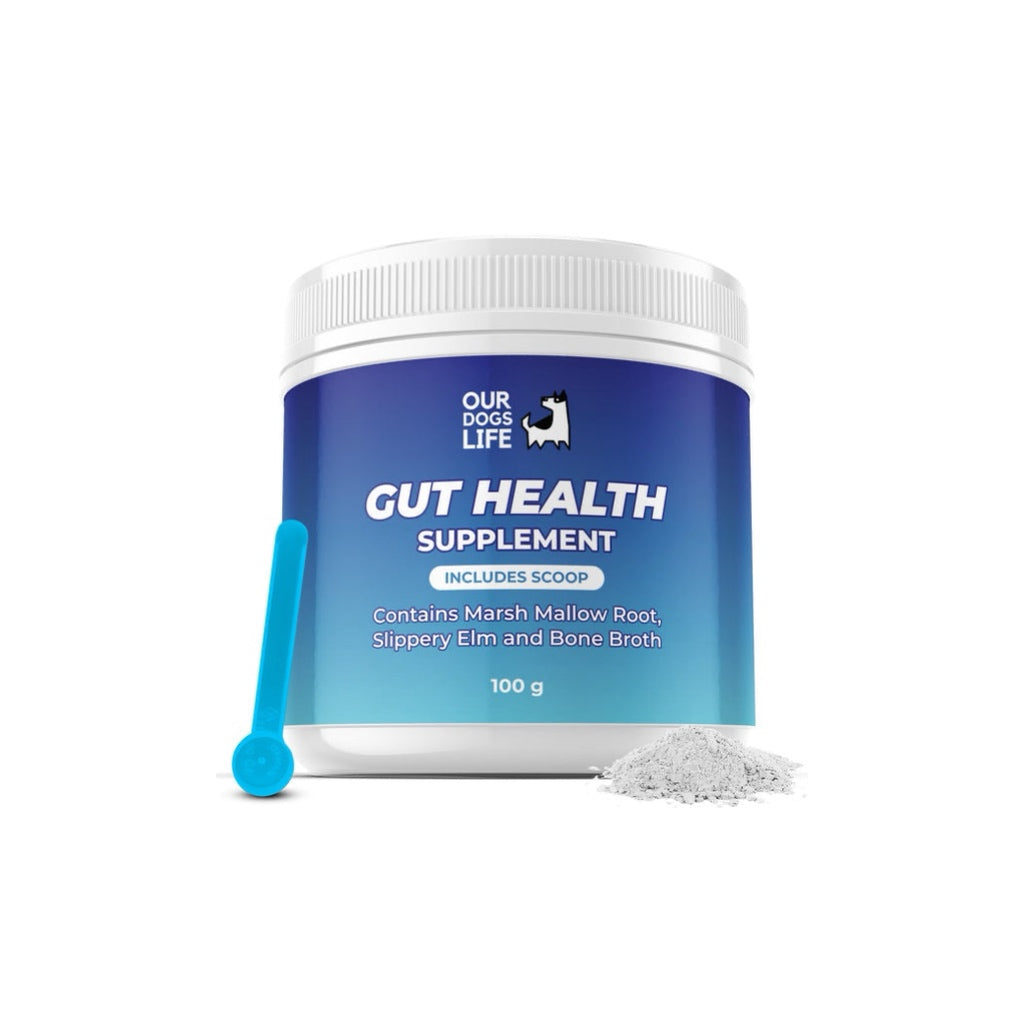 Gut Health Powder Supplement for Dogs - THE PAW CONCEPT