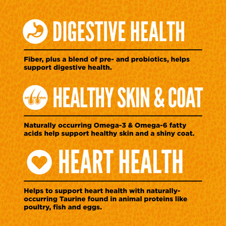 Original Dry Food Chicken, Turkey & Fish for Cats - THE PAW CONCEPT